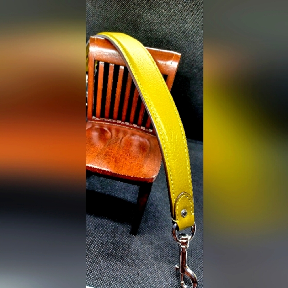 Coach Silver/Citron Leather Handle - Gem